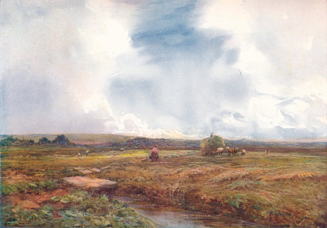 The Hayfield, 1872-1906 by Claude Hayes: Fine art print