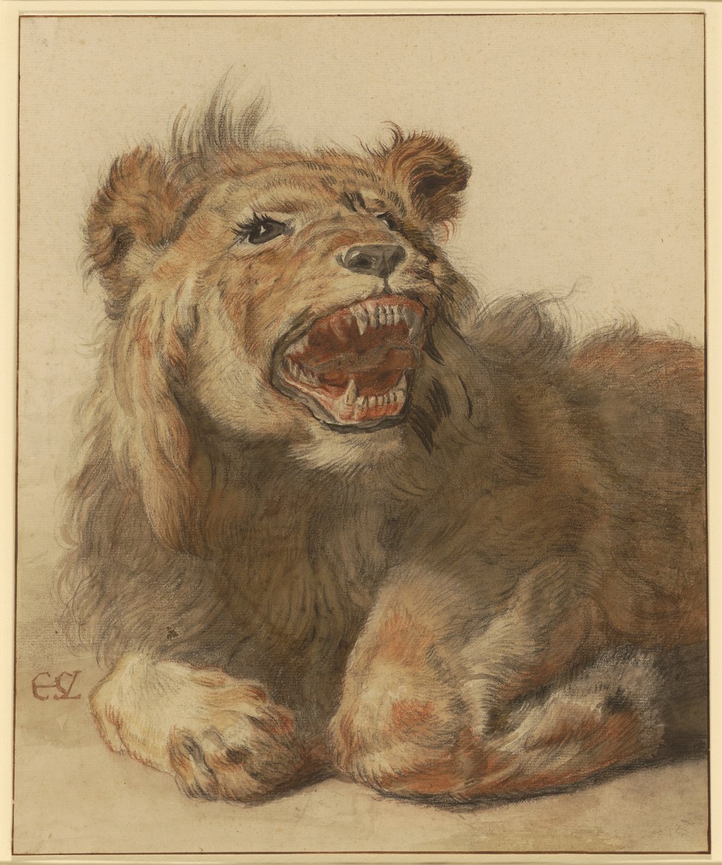 A Lion Snarling by Cornelis Saftleven: Buy fine art prints