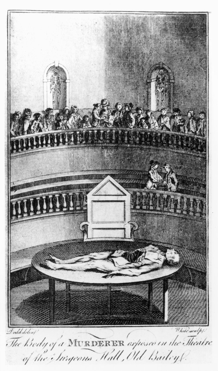 The Body of a Murderer Exposed in the Theatre of the Surgeons' Hall ...