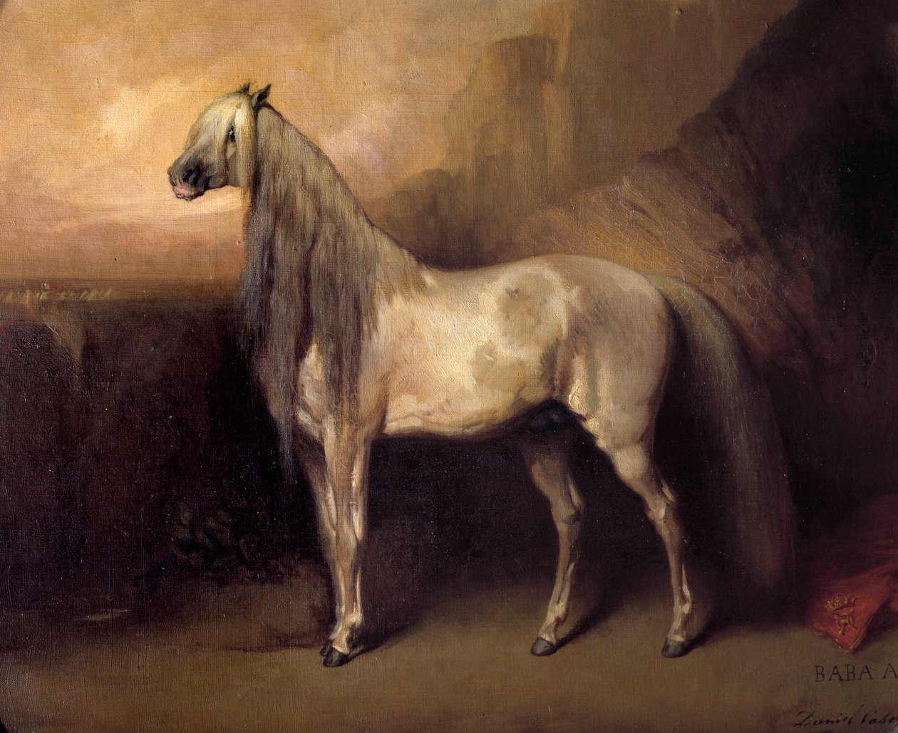 Baba Ali, Arab Horse by General Henri d'Orleans, Duke of Aumale (1822-1897)