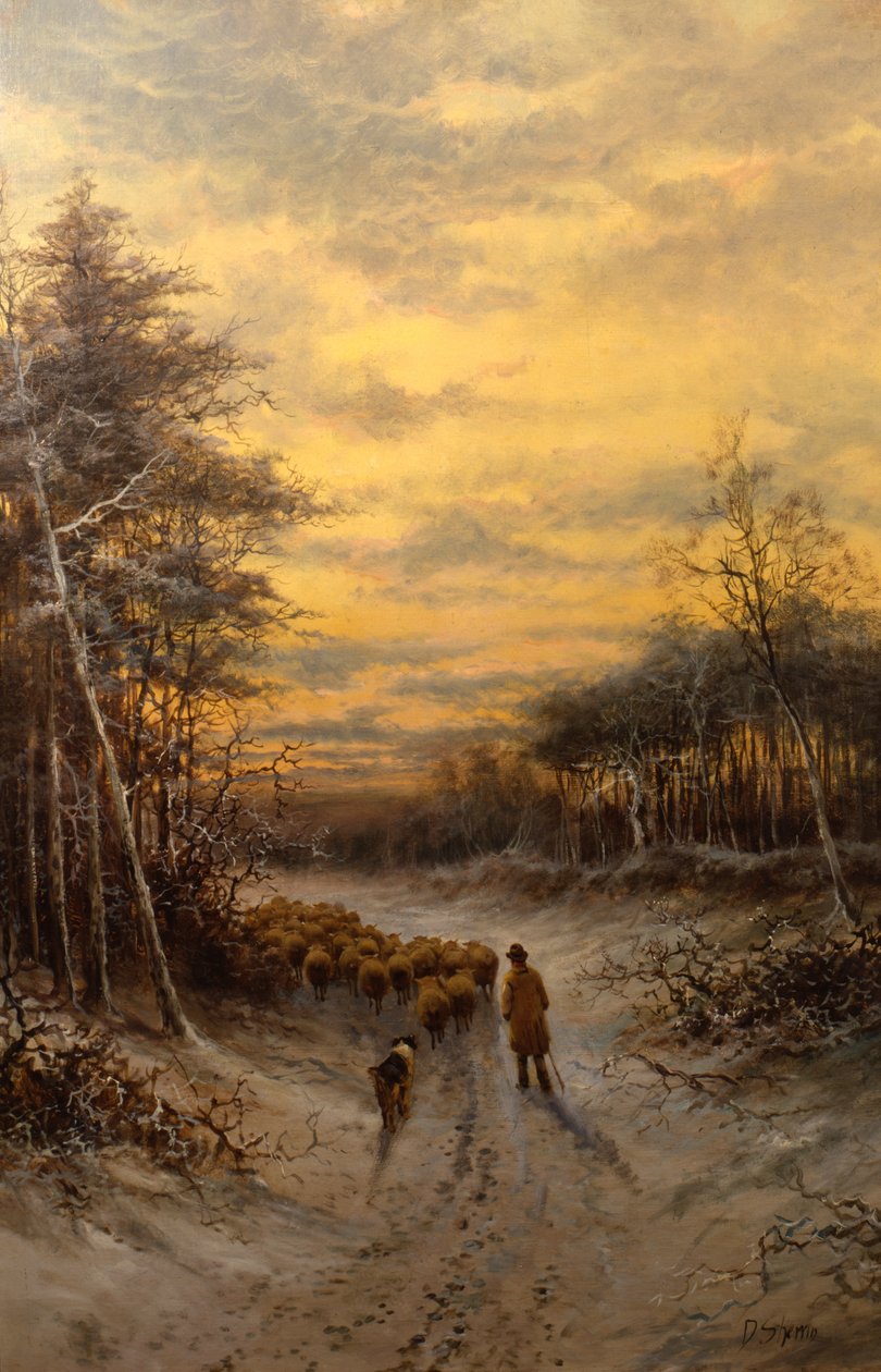 Sheep in the Snow by Daniel Sherrin: Buy fine art print