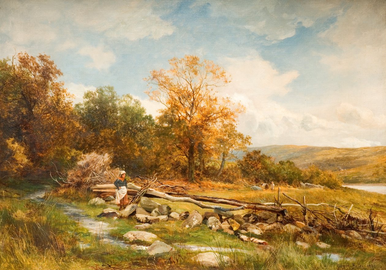 Tidal Fence on the River Conwy in Bachlediog, 1891