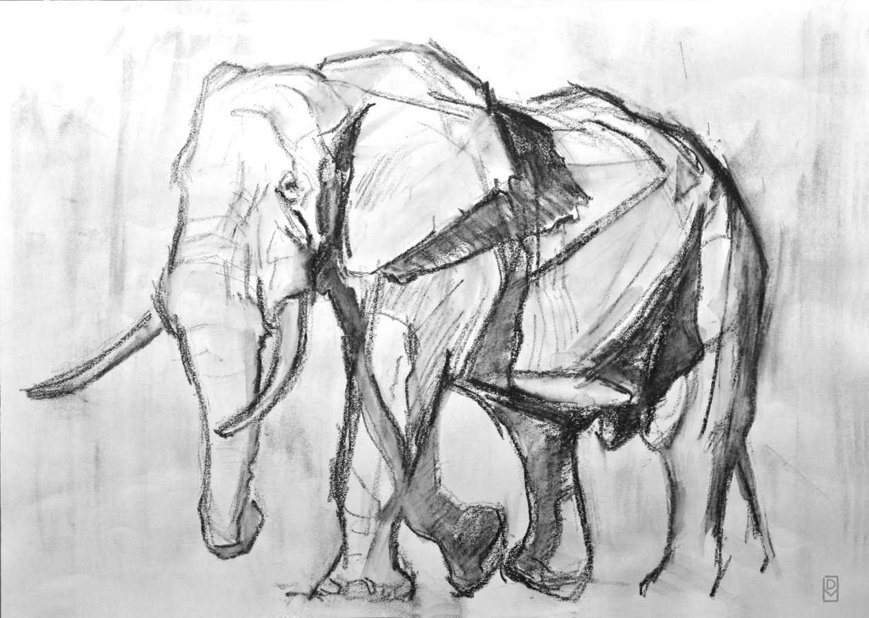 African Bull Elephant, 2019 by David Mayer: Fine art print