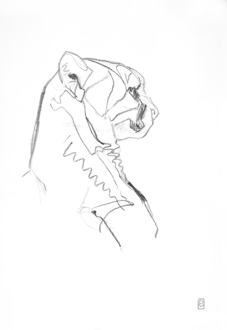 Cheetah, 2014 by David Mayer: Premium art reproduction