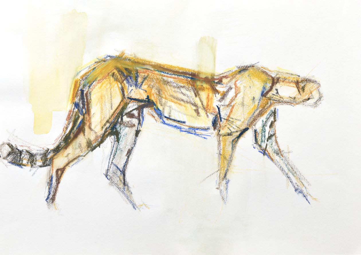 Cheetah, 2020 by David Mayer: Premium art reproduction