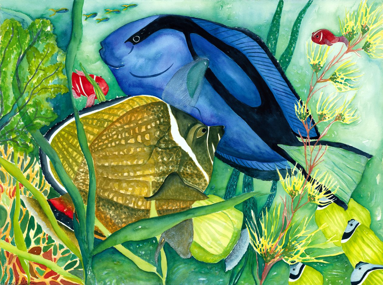 Blue Tang by Deborah Eve Alastra: Buy fine art print