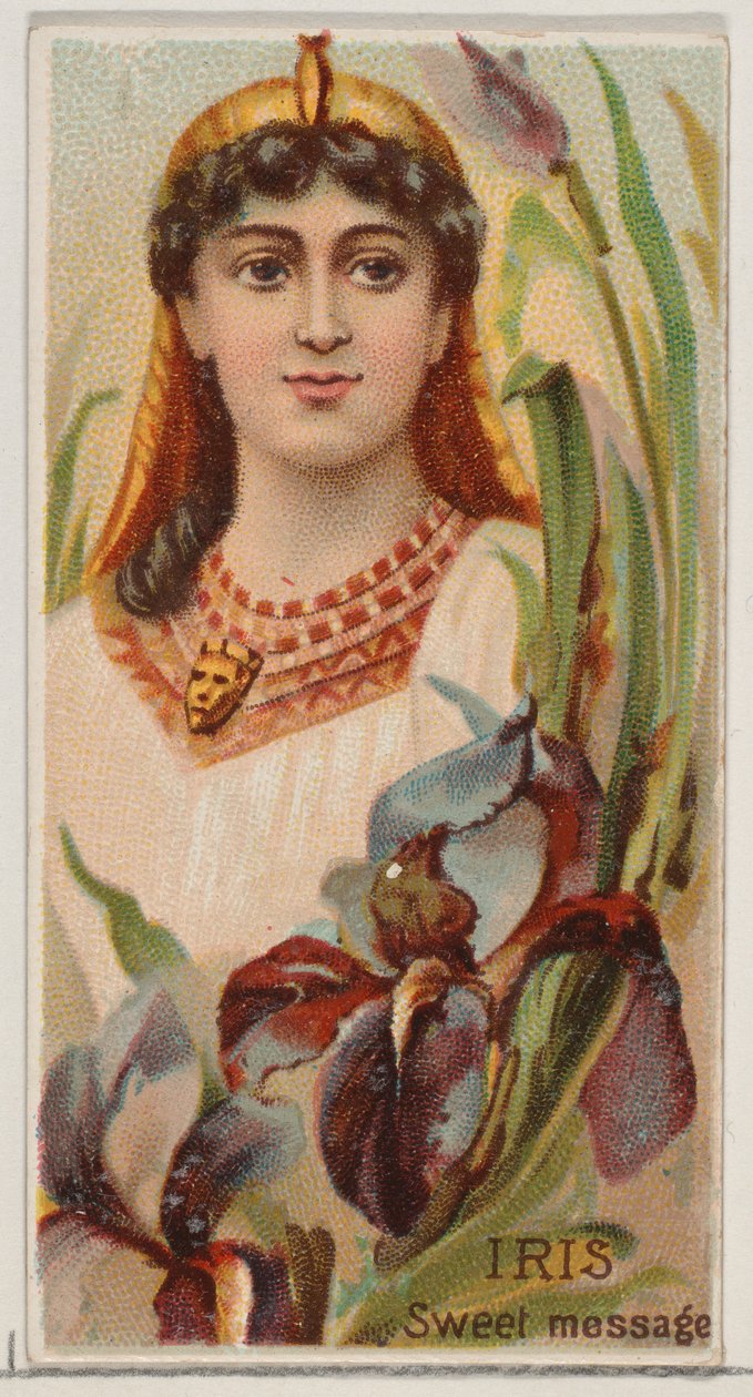 Iris: Sweet Message, from the series Floral Beauties and Language of ...