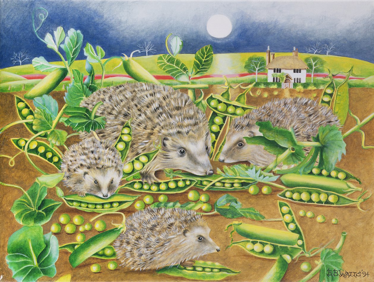Hedgehogs with Peas beside a Poppy field at night, 1994