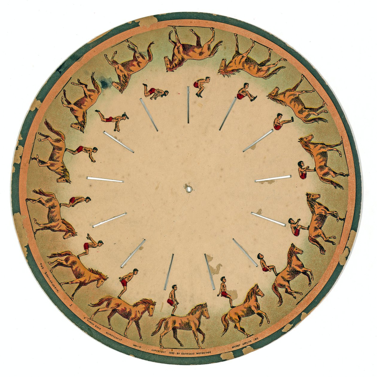 Zoopraxiscope Disc Showing an Acrobat Performing a Horse Back ...