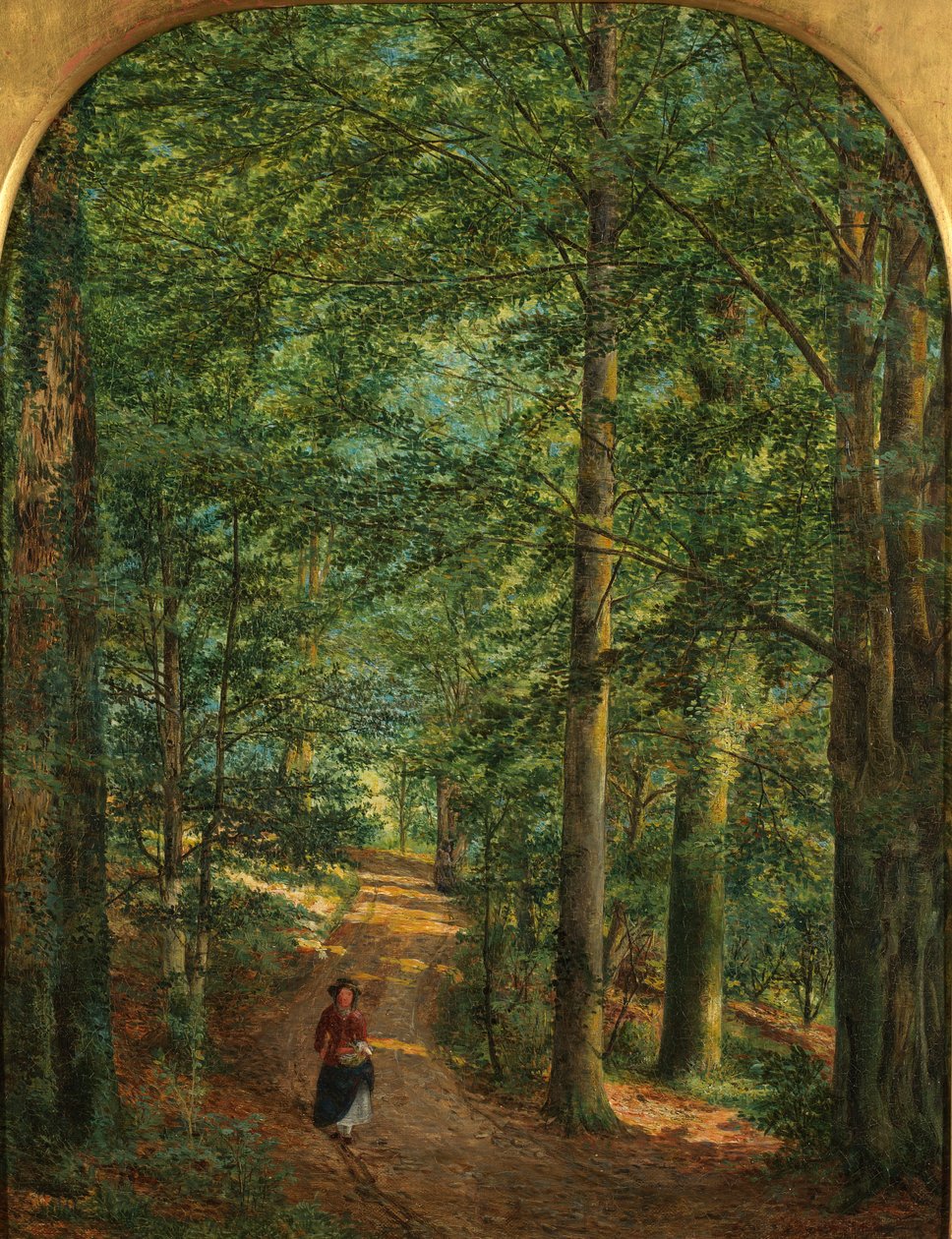 In the Woods by Edmund George Warren: Buy fine art prints