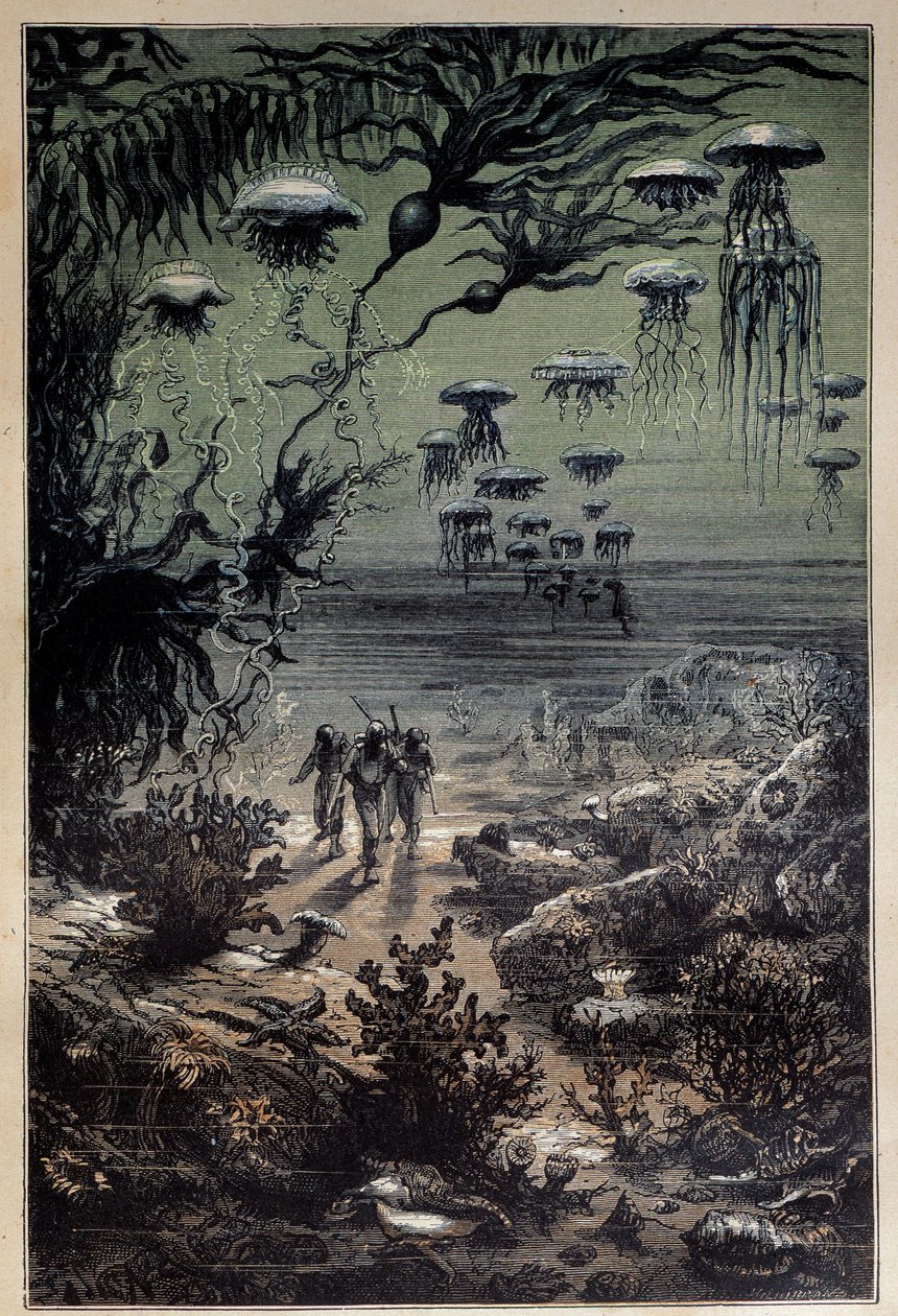 Underwater Floor. Illustration for Twenty Thousand Leagues Under the ...