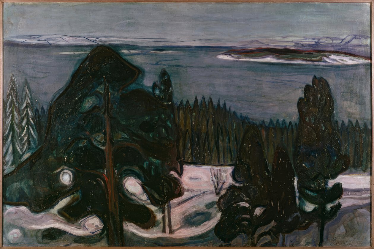 Winter's Night by Edvard Munch: Buy fine art print