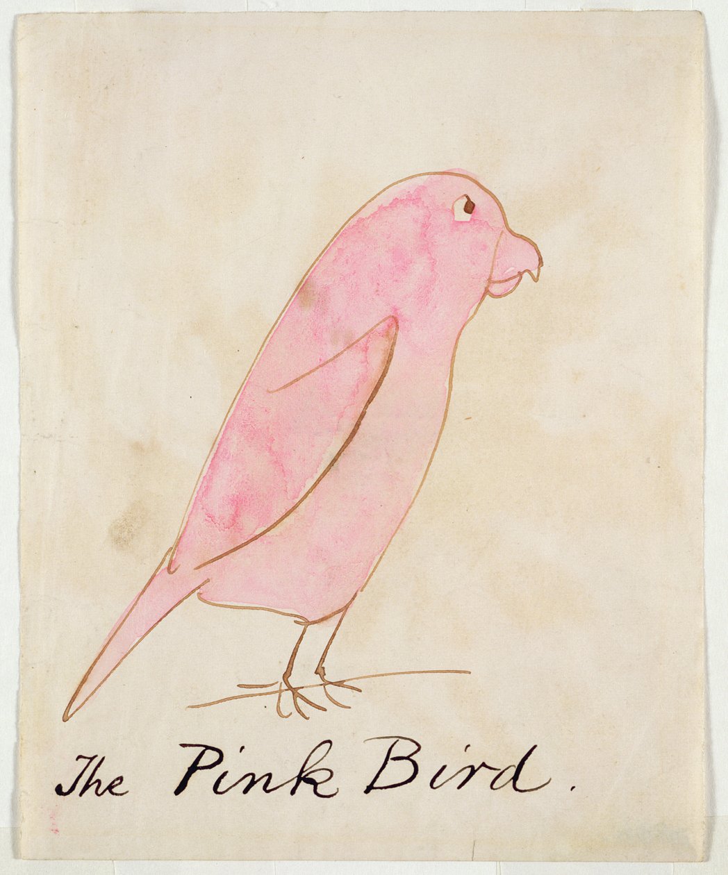 The Pink Bird, from 'Sixteen Drawings of Comic Birds'
