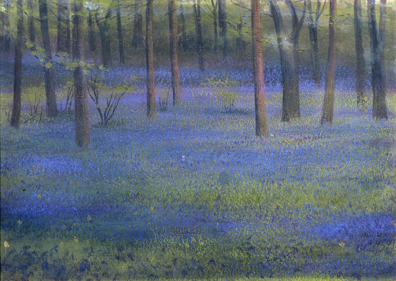 Bluebell Wood by Edward Clifford: Buy fine art print