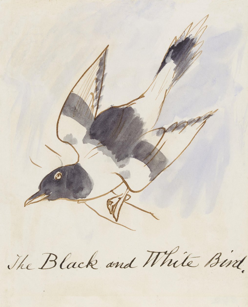 The Black and White Bird, from Sixteen Drawings of Comic Birds