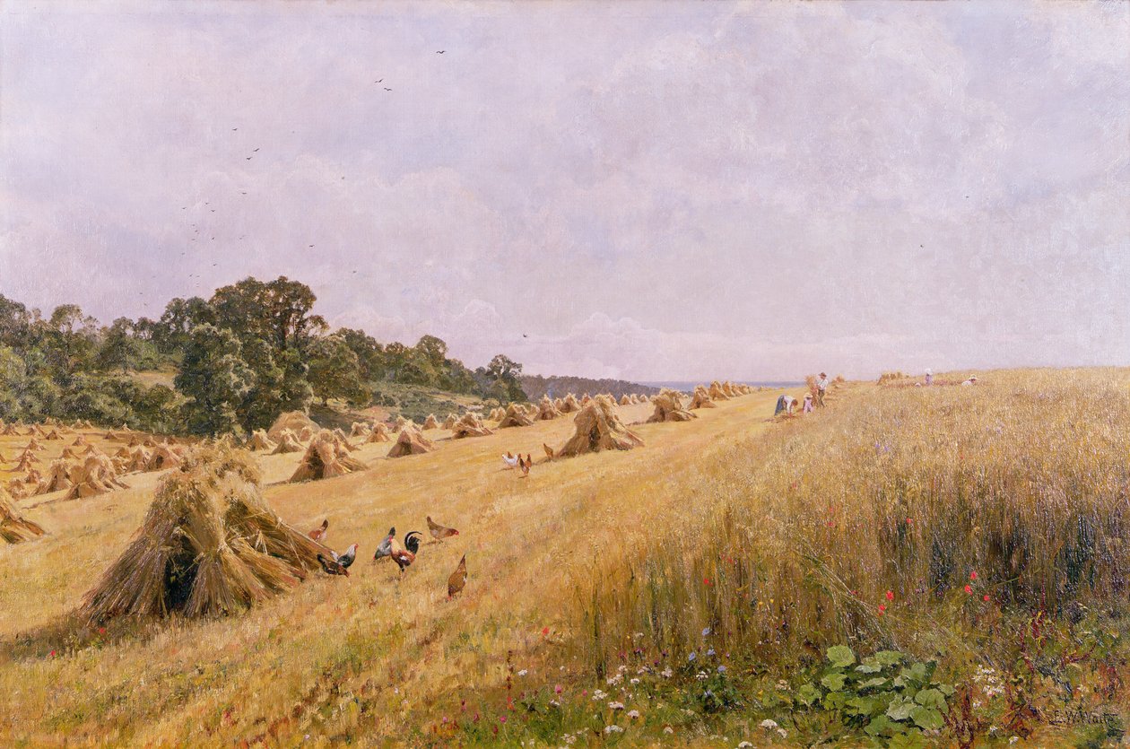 Cornfield Harvest by Edward Wilkins Waite: Fine art print