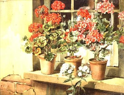 Geraniums by Edwin Byatt: Highest-quality art reproduction