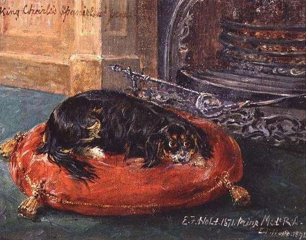 King Charles Spaniel at Rest by Edwin Frederick Holt