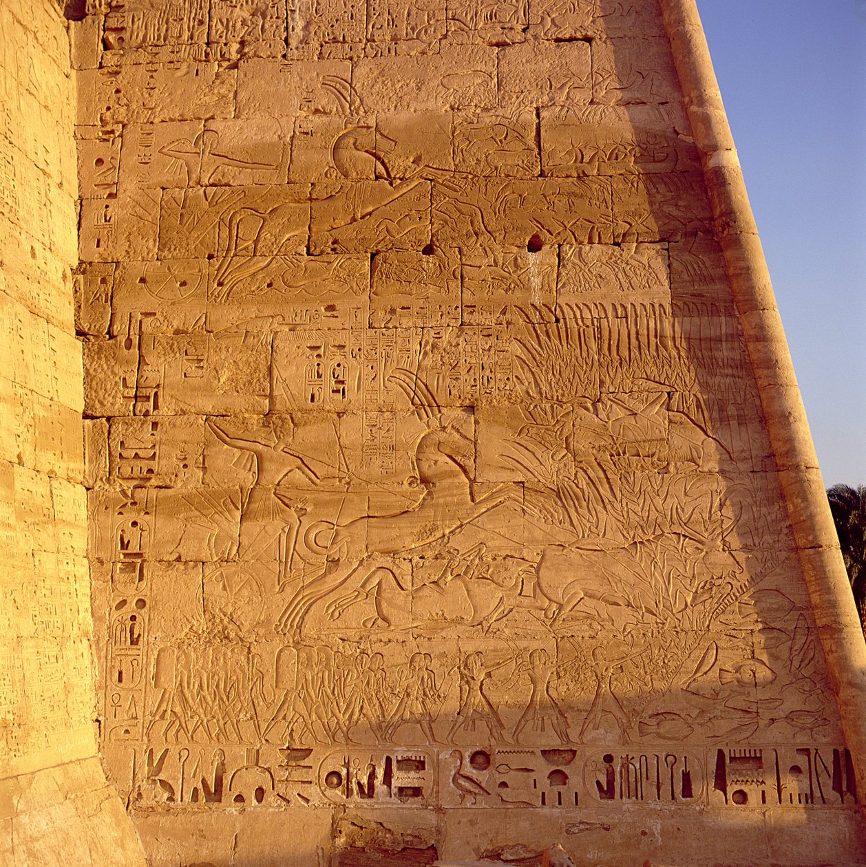 Ramesses III Hunting Wild Bulls from the First Pylon of the Temple of ...