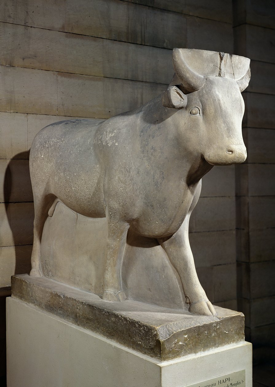 The Apis Bull, from the Serapeum, Memphis
