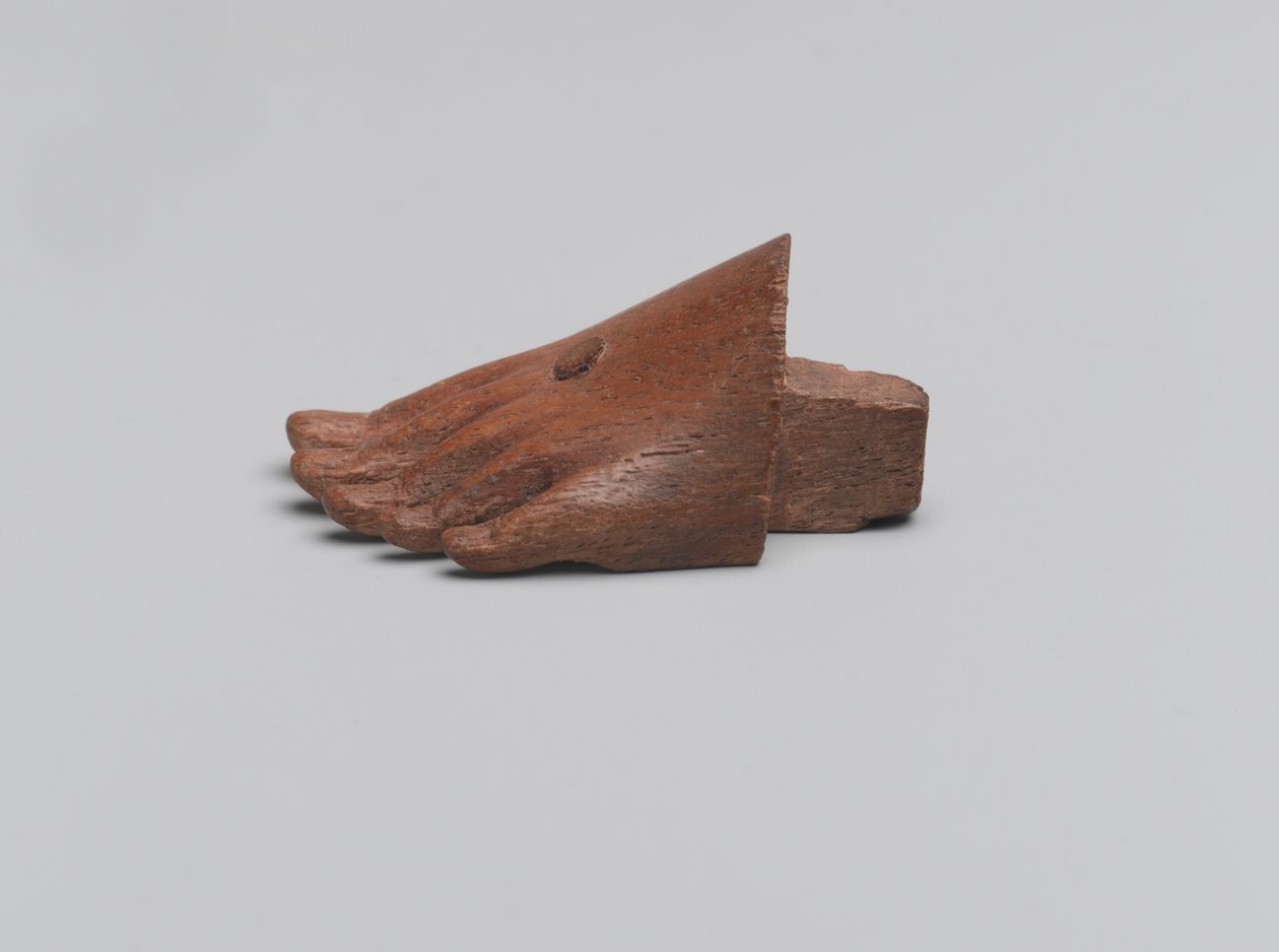 Front part of a left foot by Egyptian: Buy fine art print