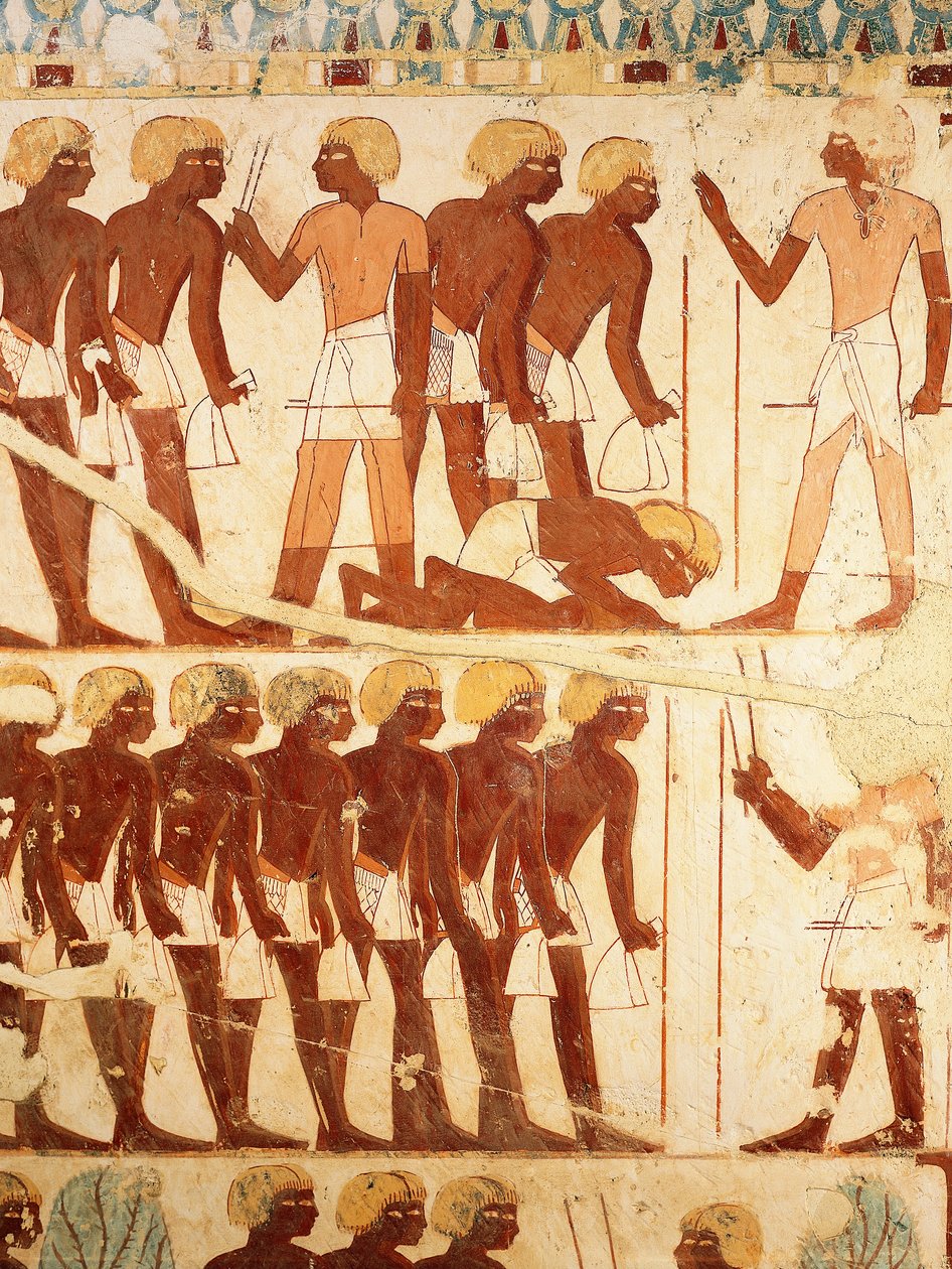 Detail of frescoes depicting the army receiving rations, from the Tomb ...