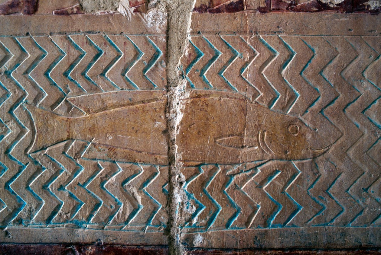 Fish, scenes of Punt kingdom, south wall of central colonnade, Mortuary ...