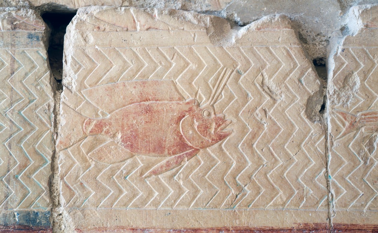 Relief of a Fish, Mortuary Temple of Hatshepsut, Thebes