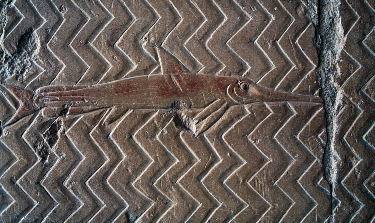 Representation of fish, scenes of Kingdom of Punt, south wall of ...