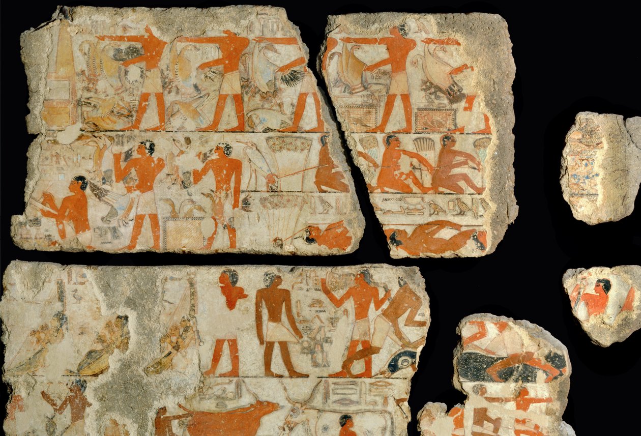 Scene in the swamps of the Nile river