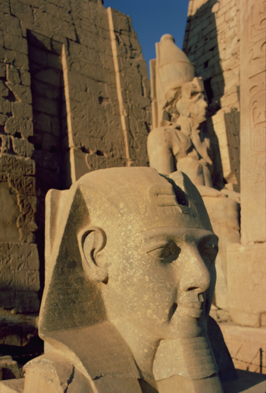 Colossal head of Ramesses II, New Kingdom