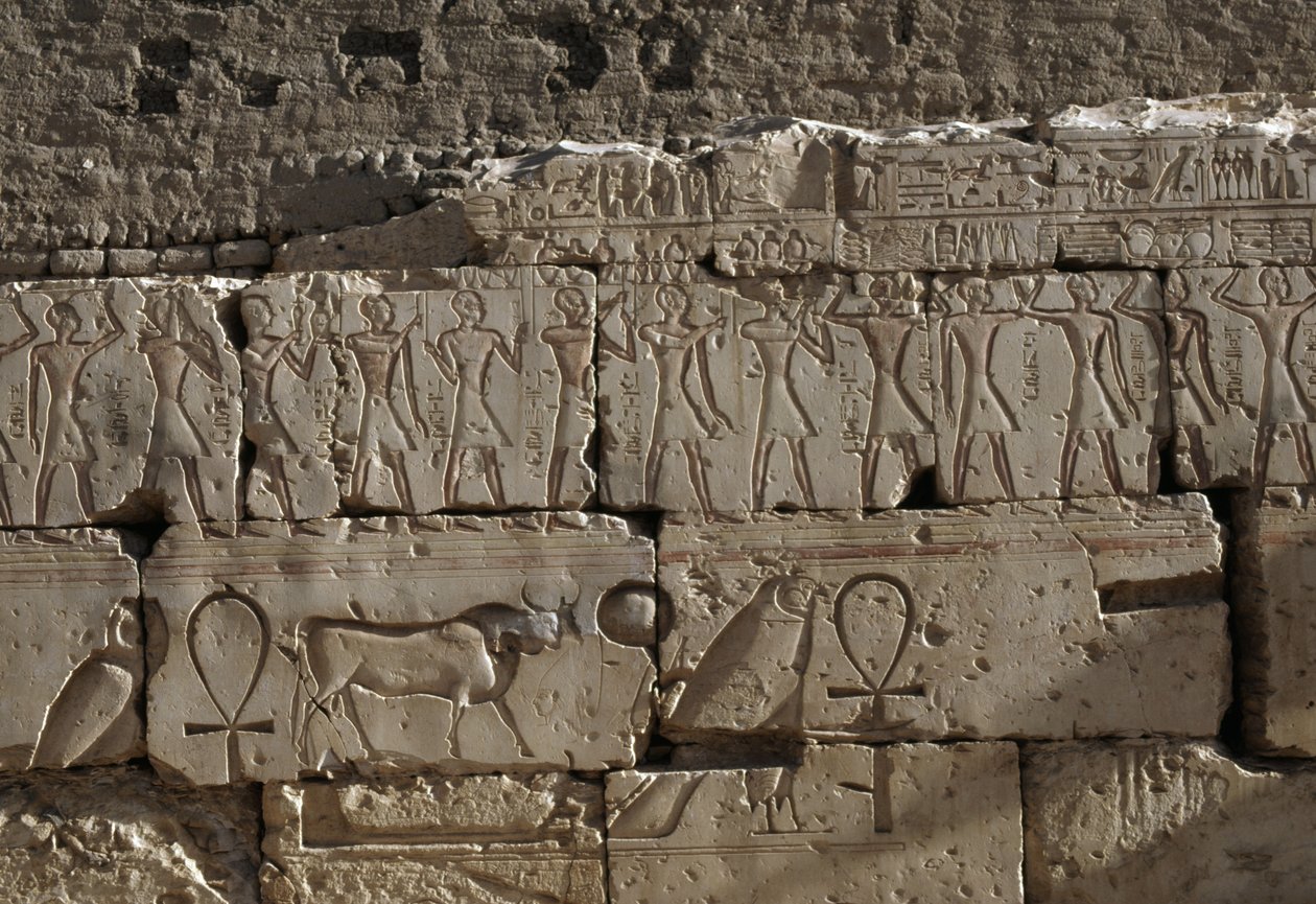 Relief, Temple of Ramses II, Abydos, Egypt