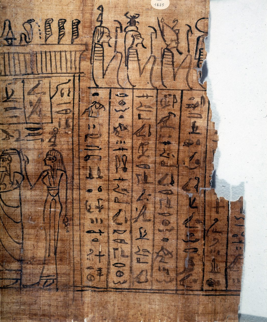 Ancient Egypt Hieroglyphics Papyrus Ancient Egyptian Papyrus: History,