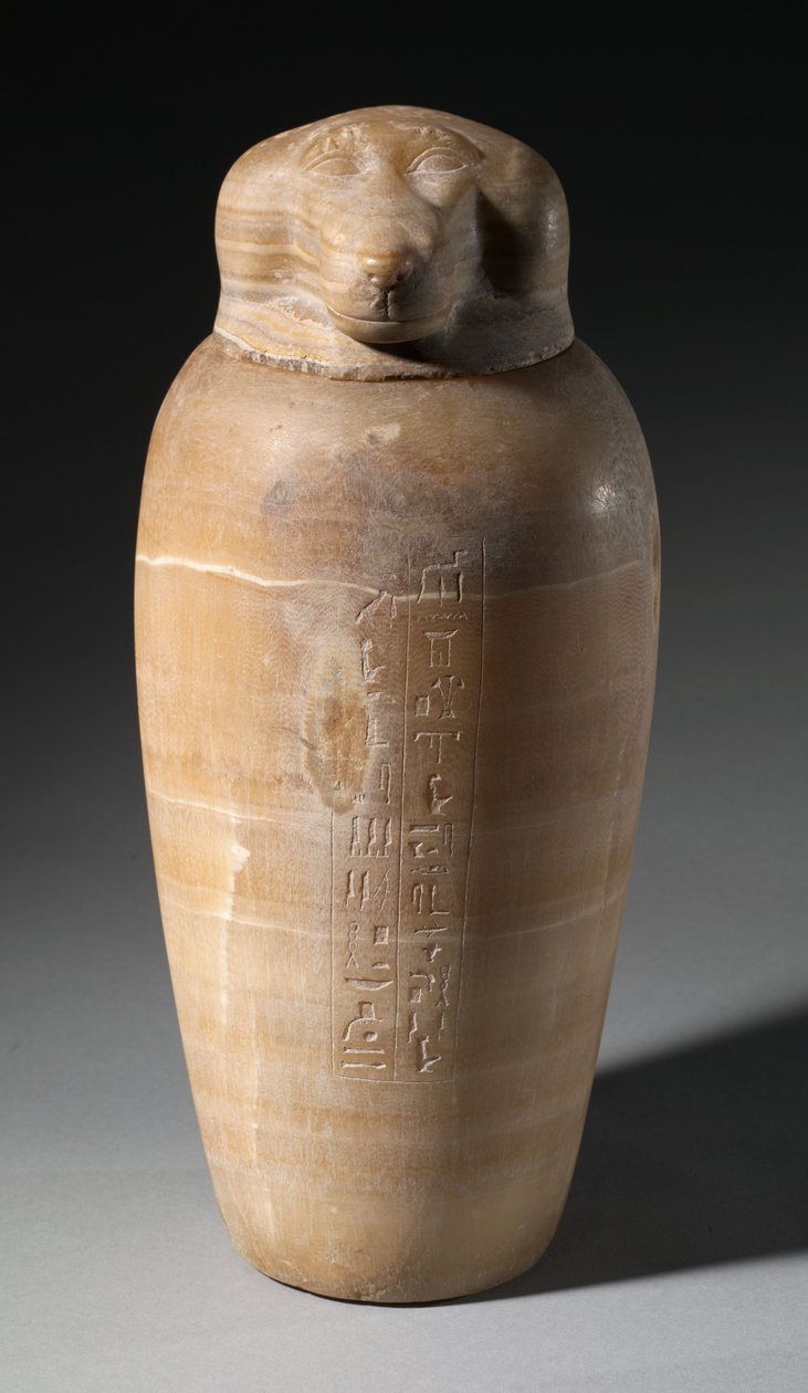 Canopic Jar with Baboon's Head, 664-525 BC
