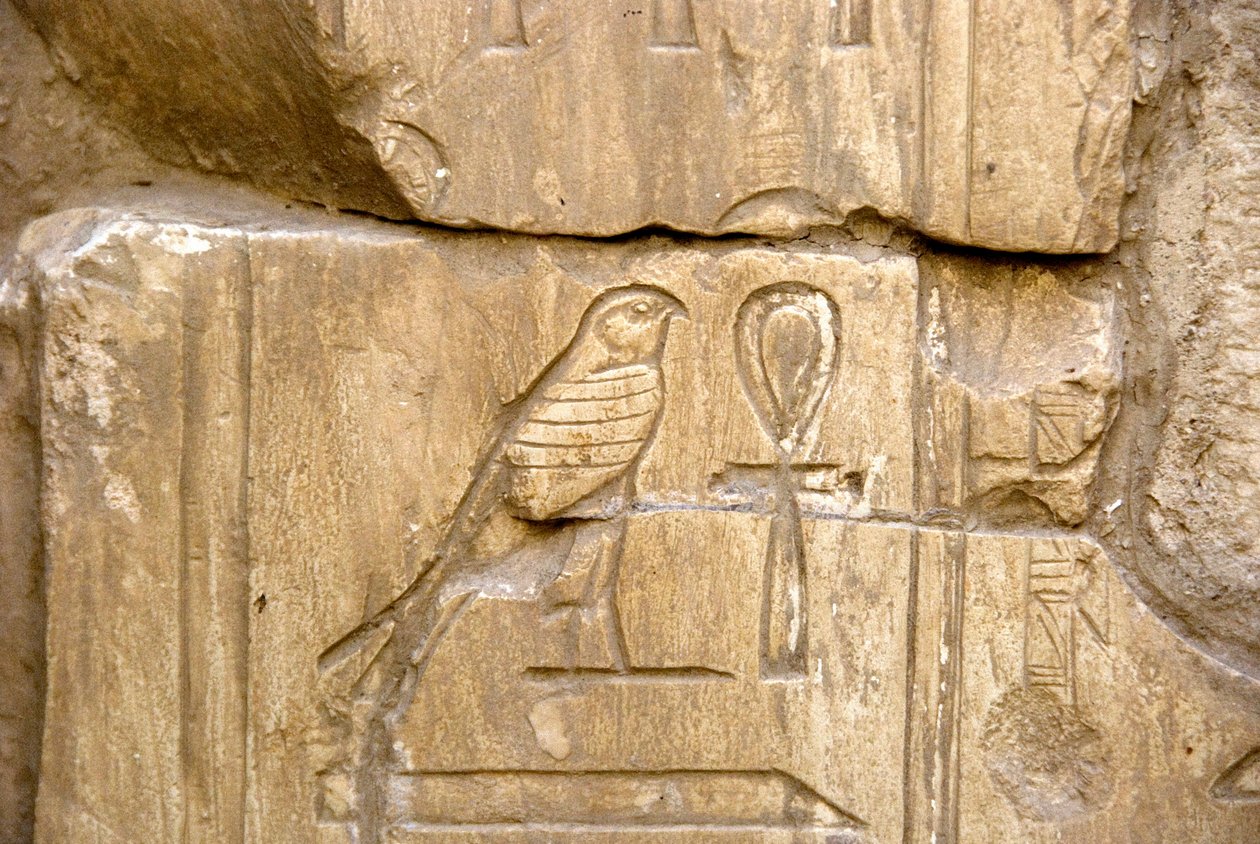 Egyptian antiquity: Cartridge of Ankh Hor. Tomb of Ankh-Hor