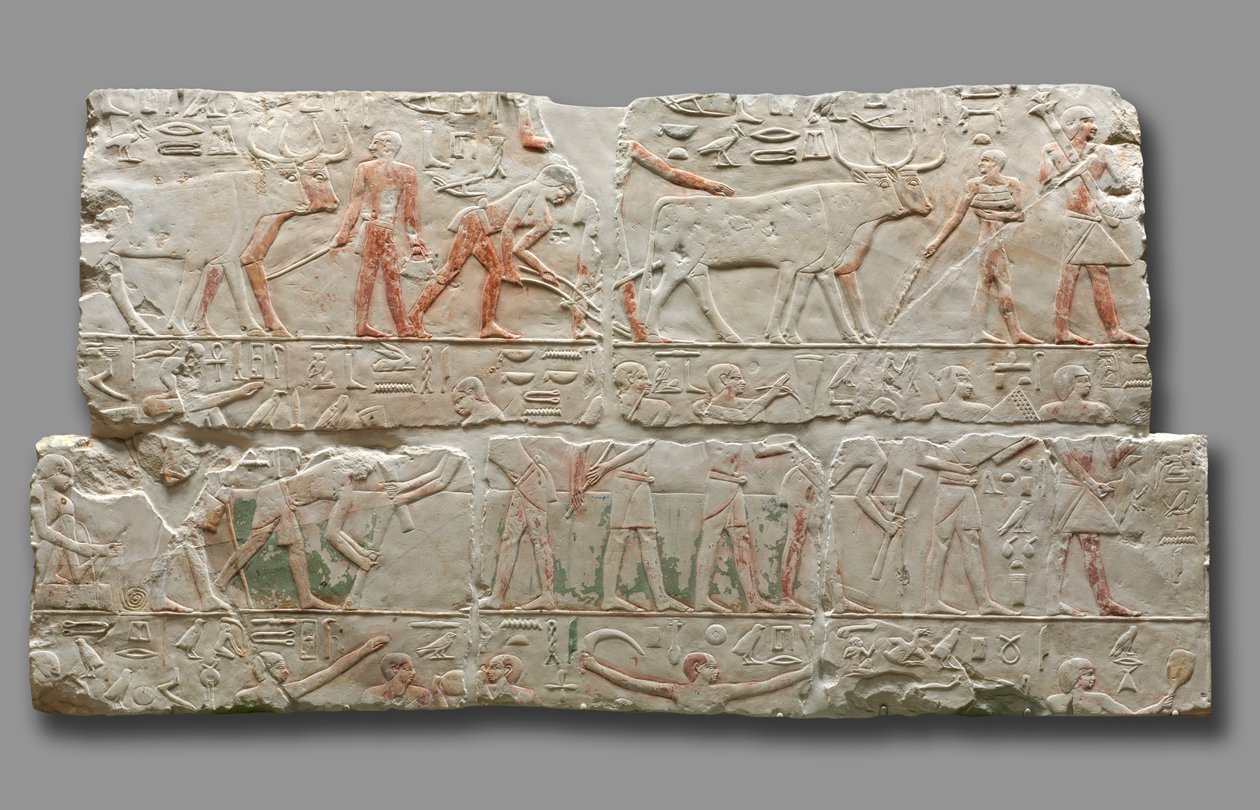 Relief of Agricultural Scenes from Saqqara