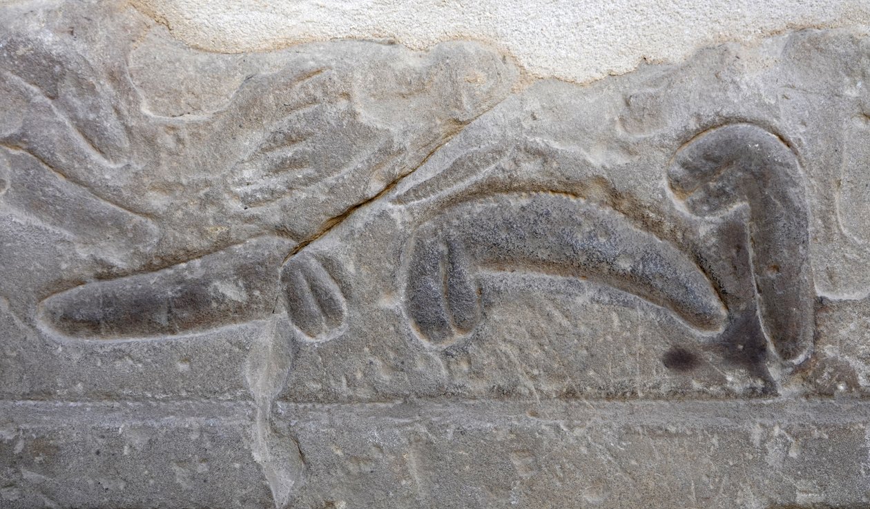 Piles of Severed Male Genitals, Temple of Horus, Edfu