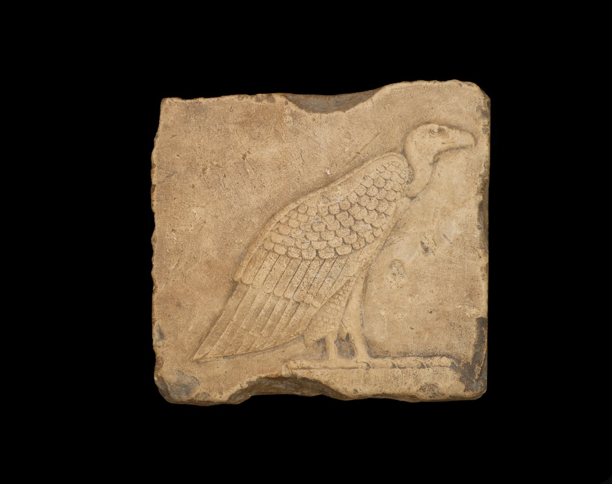 A Block with a Standing Vulture and an Owl in Low Relief