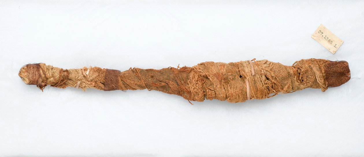 Mummy of a crocodile, found in Manfalont, 305-30 BC