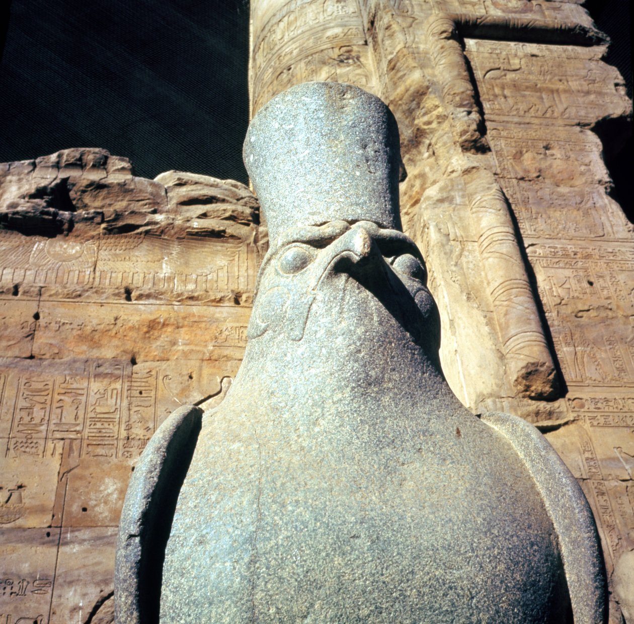 Statue of Horus in the Court of Offerings of the Temple of Horus (detail)