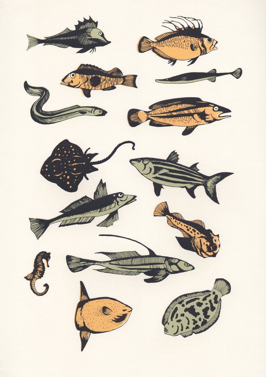 Plain Fish by Eliza Southwood: Buy fine art print