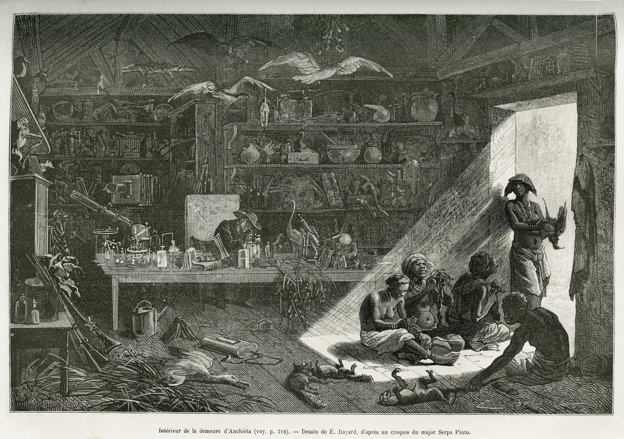 Inside the Home of Jose d'Anchieta, Africa's First Zoological Explorer ...