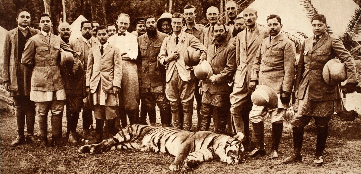 King Edward VIII's First Tiger, 1921 by English Photographer