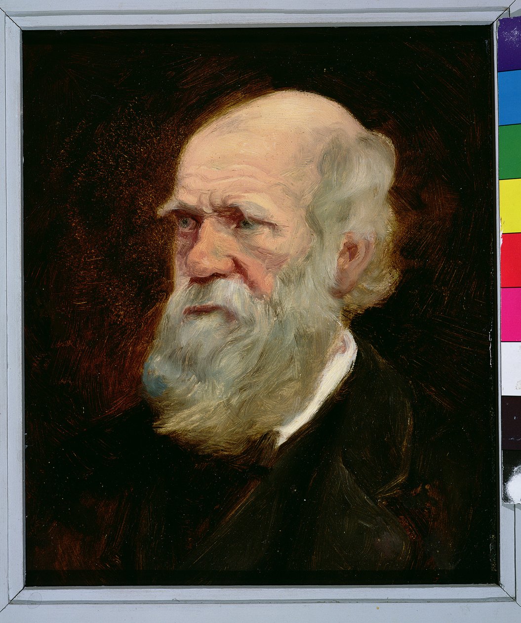 Portrait of Charles Robert Darwin, English Naturalist
