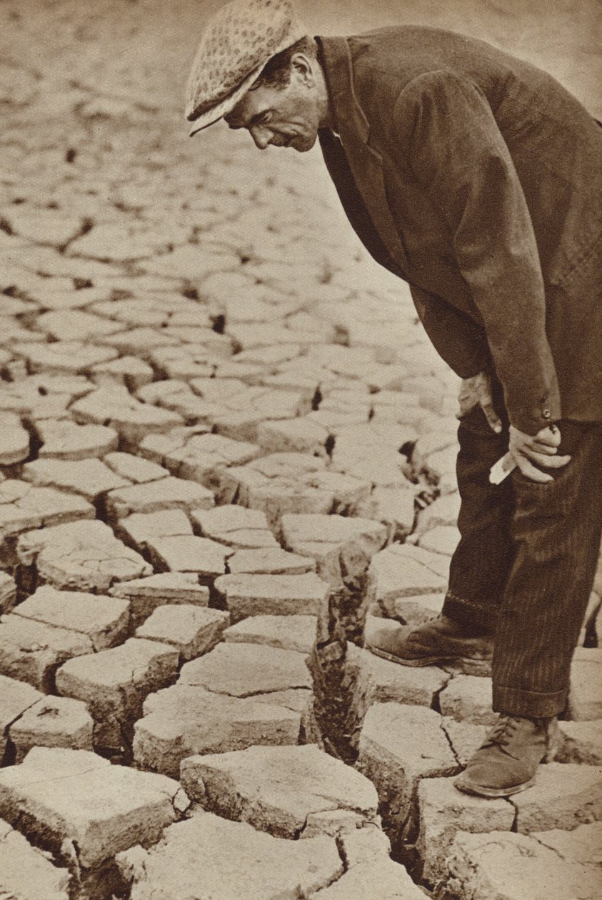 Dried up reservoir in Kettering, Northamptonshire, during the drought ...