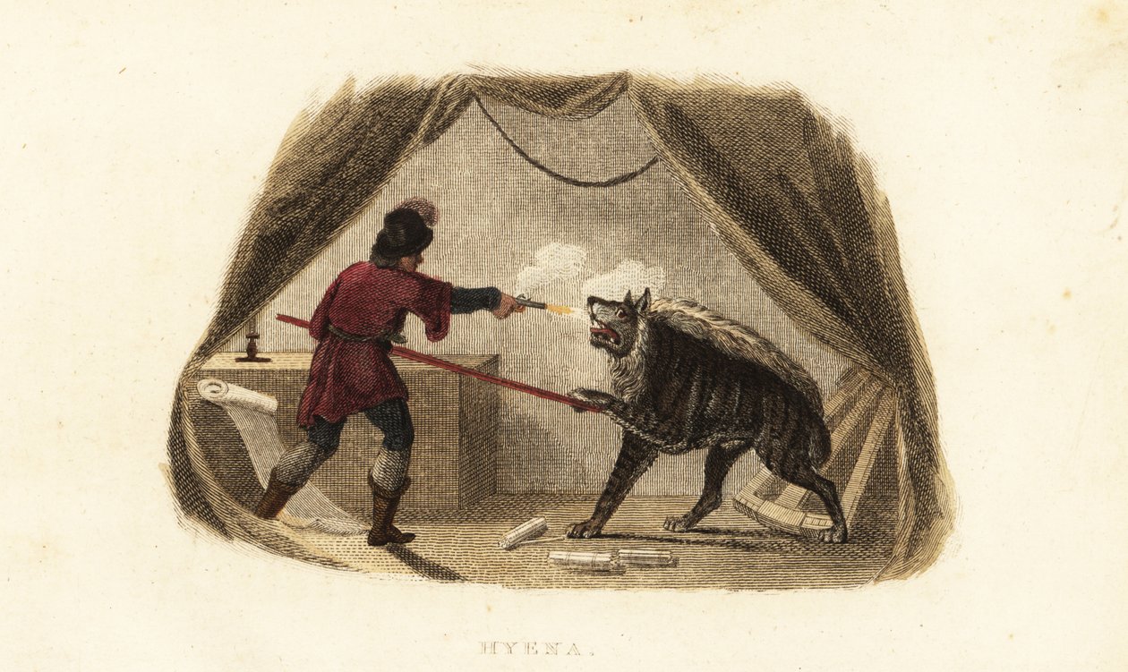 James Bruce killing a hyena with pistol and pike in his tent in Maitsha ...