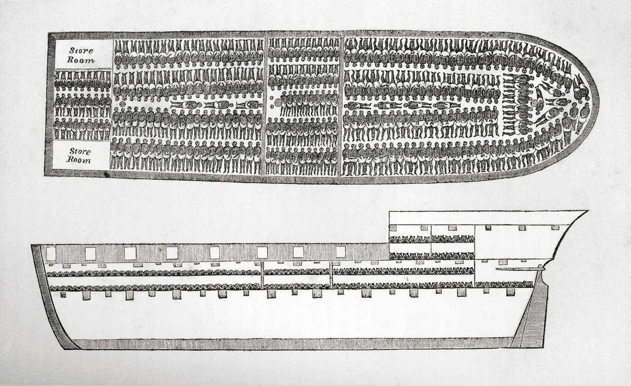 Plan Showing How Slaves Were Transported on Board a Slave Ship in the ...