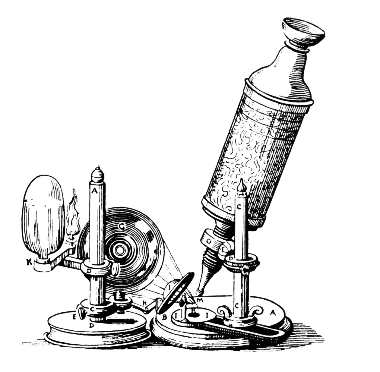 Robert Hooke's Microscope by English School