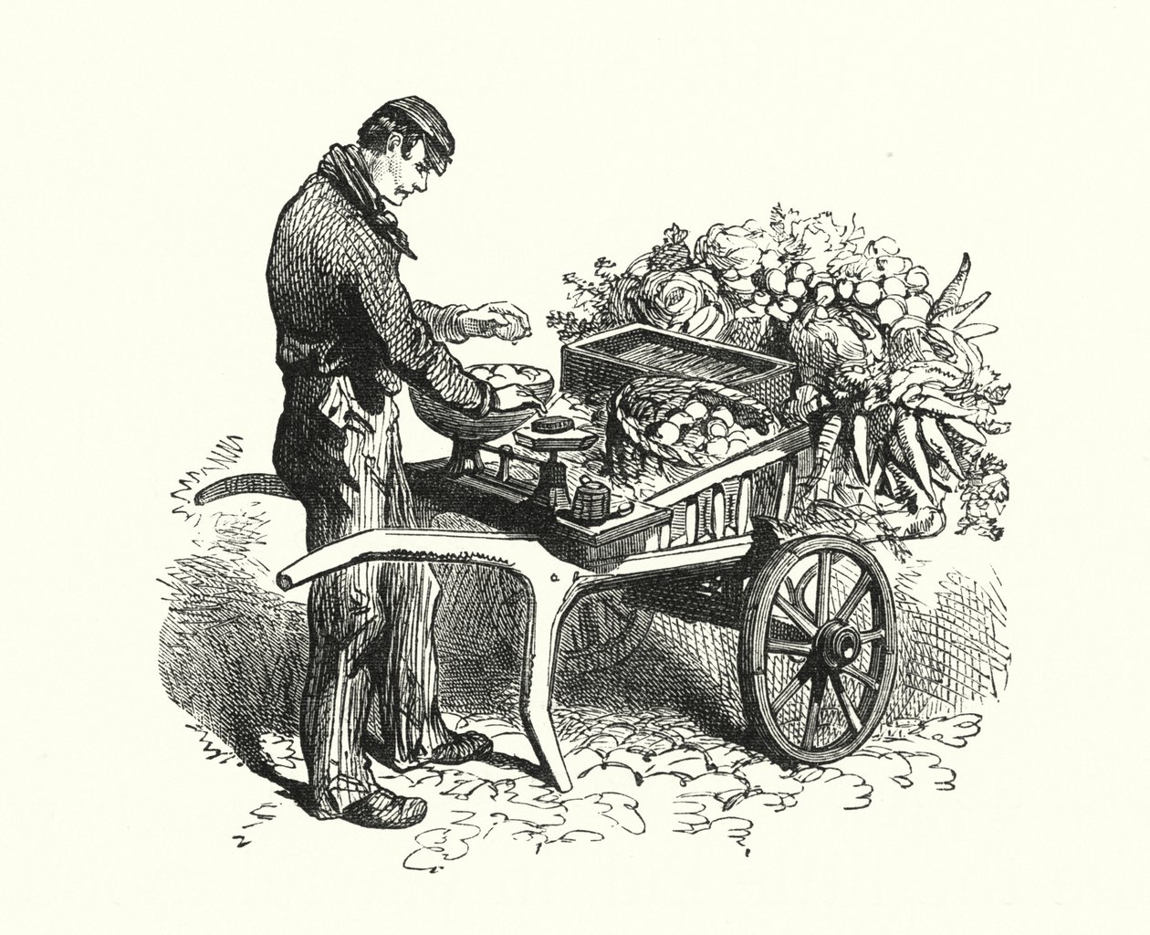 The Costermonger by English School: Buy fine art print