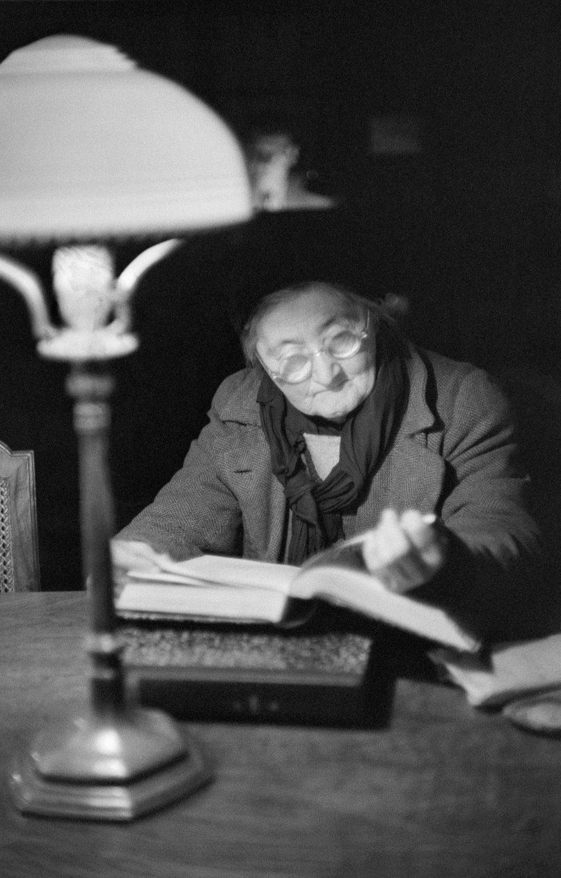 Life in Post-War Vienna: An Elderly Lady Absorbed by Her Book in the ...